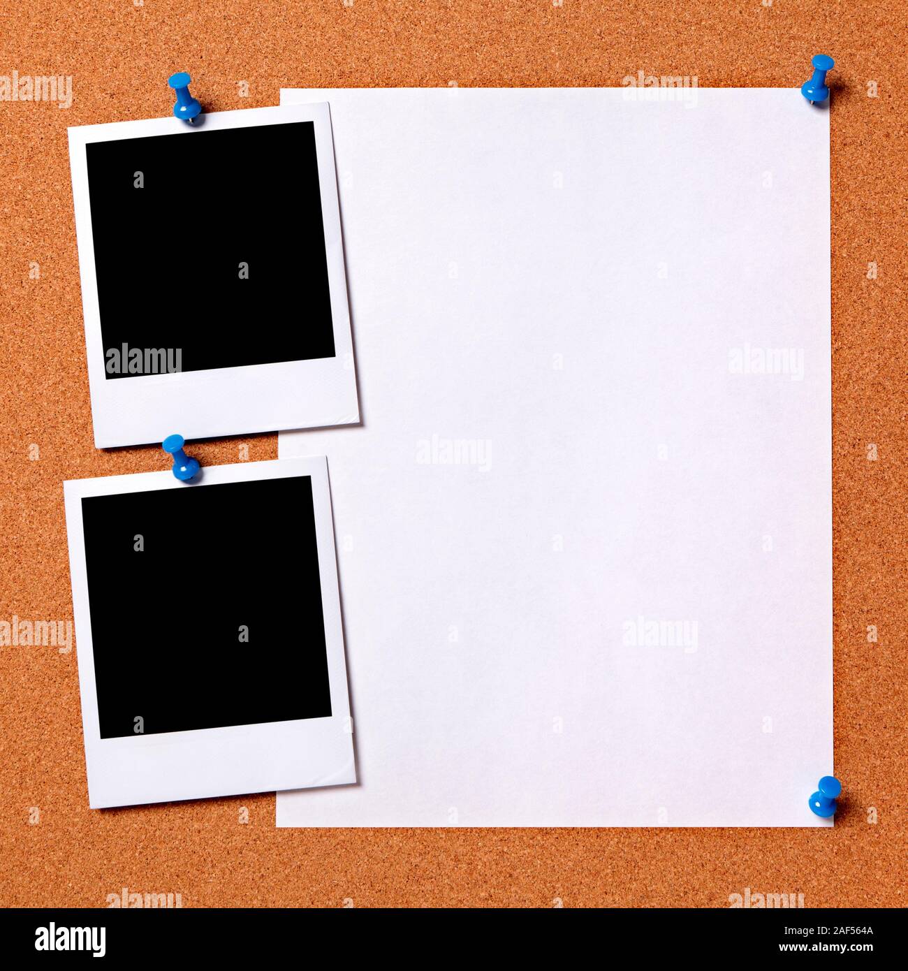 Blank photo prints and plain paper poster pinned to a cork notice board ...