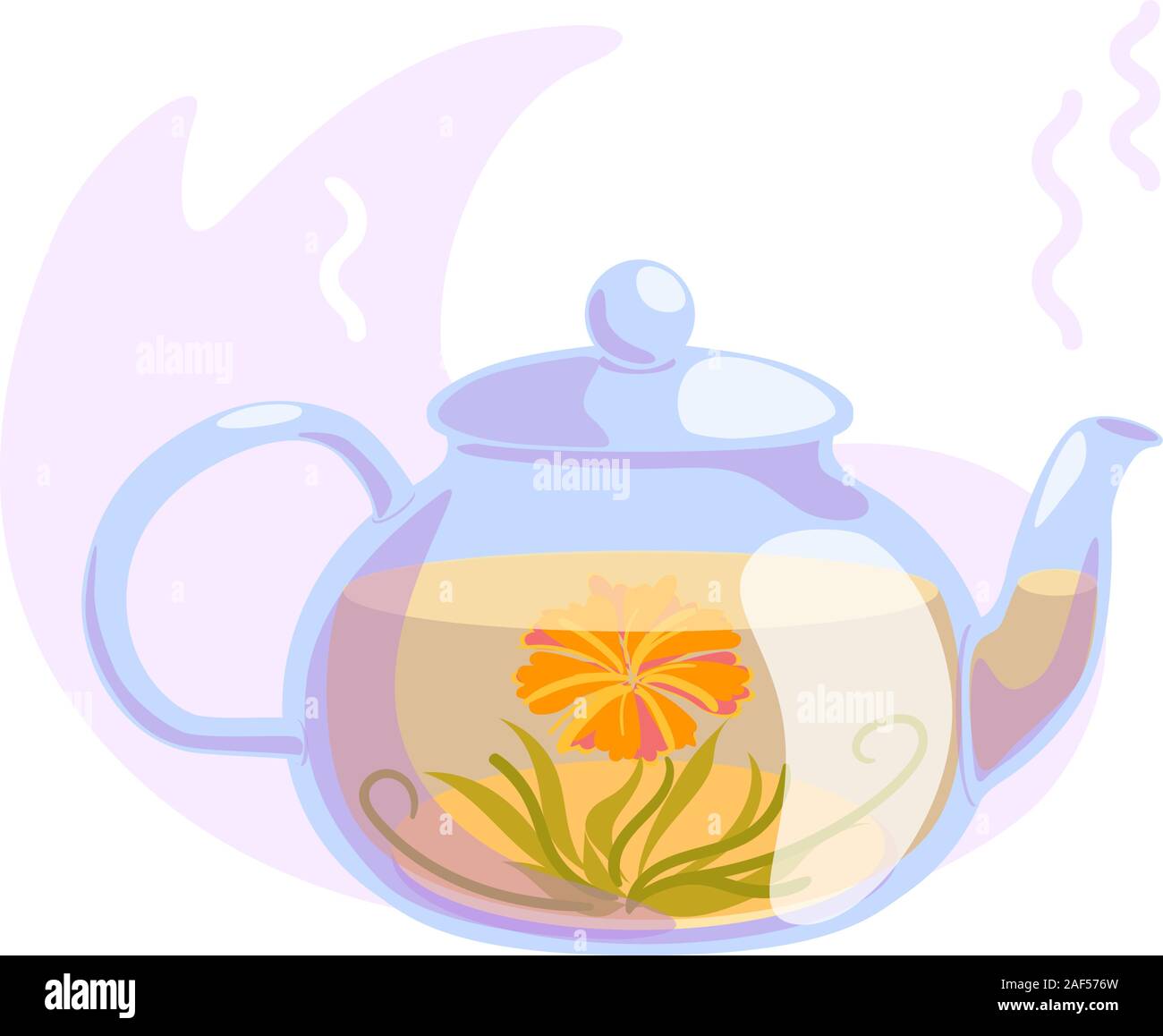 Hot blooming tea in a glass teapot isolated on white background. Front ...