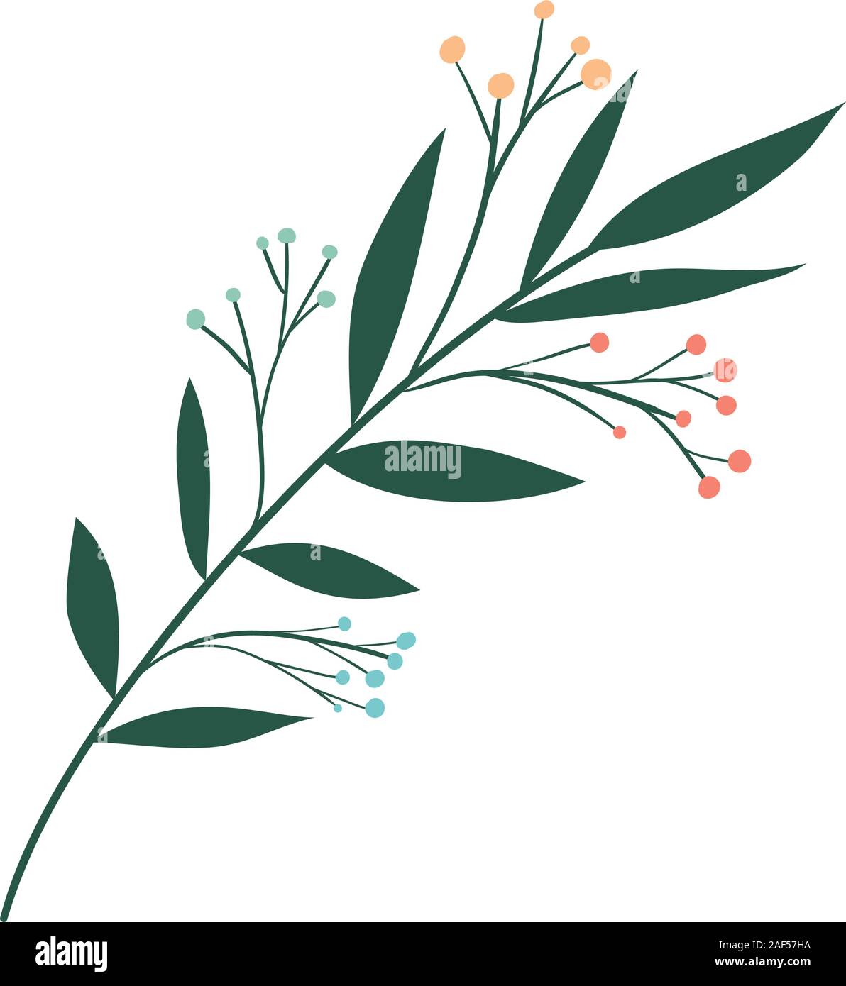 Isolated leaf plant vector design Stock Vector Image & Art - Alamy