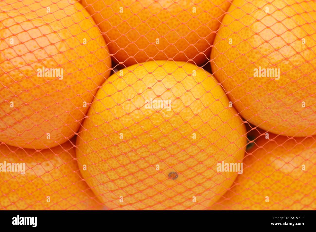 Japanese orange mikan fruit in a plastic mesh bag on white background ...