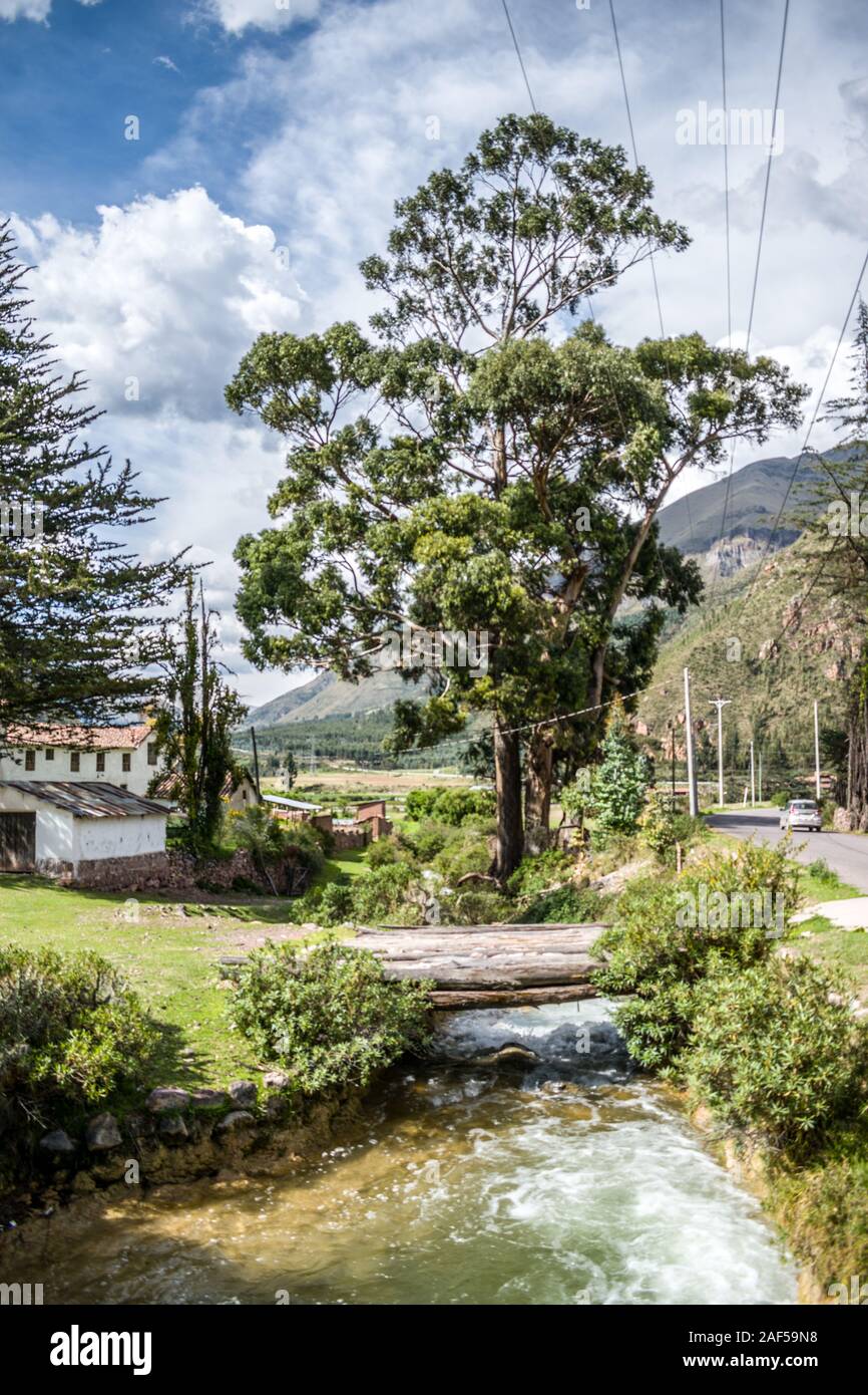 tree near river and bush Stock Photo - Alamy