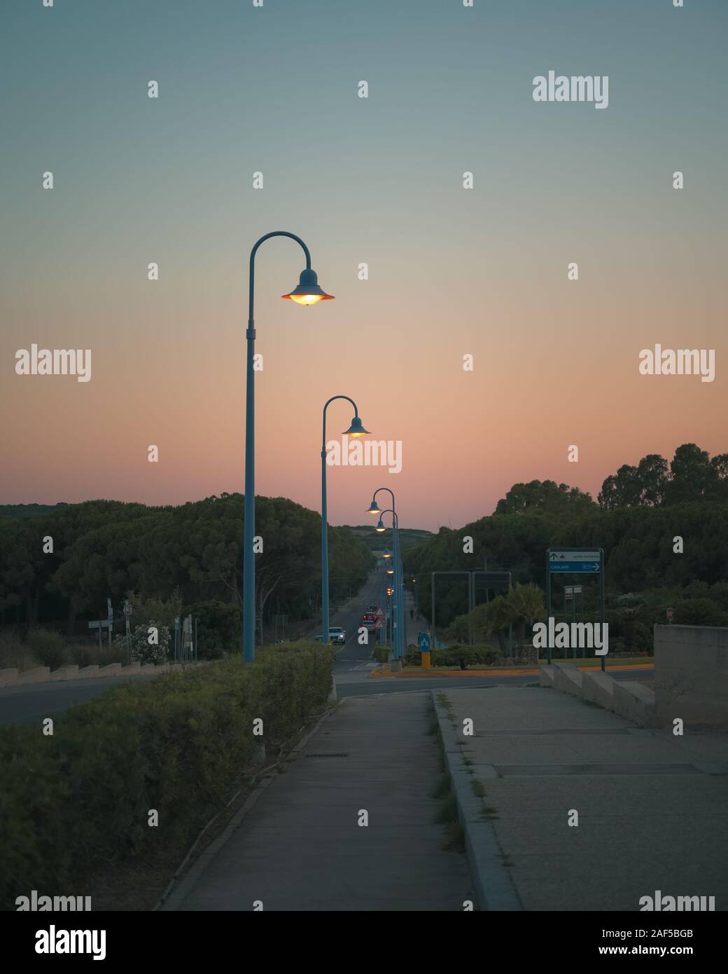 Yellow street lights on endless road in Mediterranean vegetation after ...