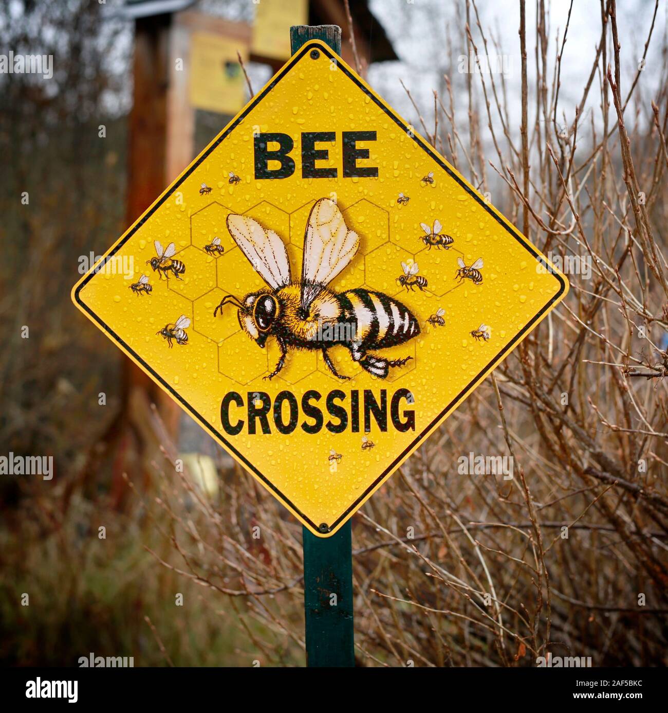 Bee crossing sign, Wye Marsh Wildlife Centre, Ontario, Canada Stock ...