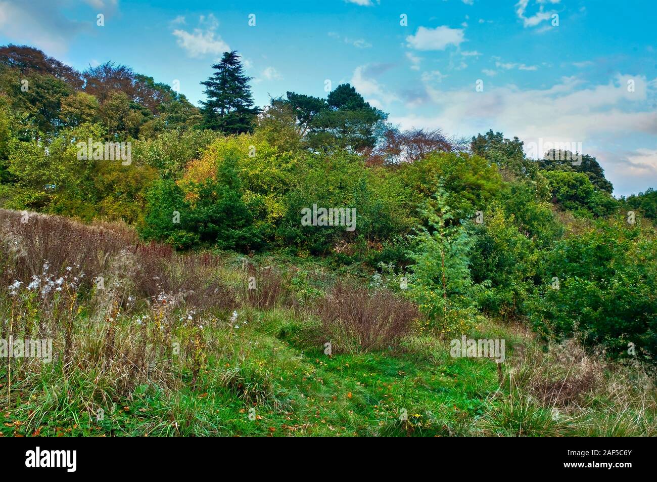 Semi-urban landscape with blue sky Stock Photo - Alamy