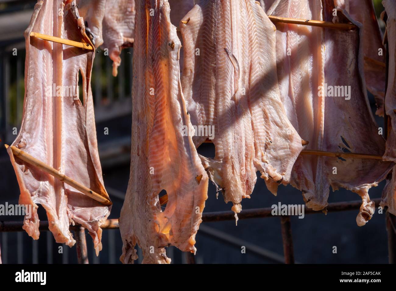 Fish hanging up to dry on fishing boats in the port of Camara De Lobos ...