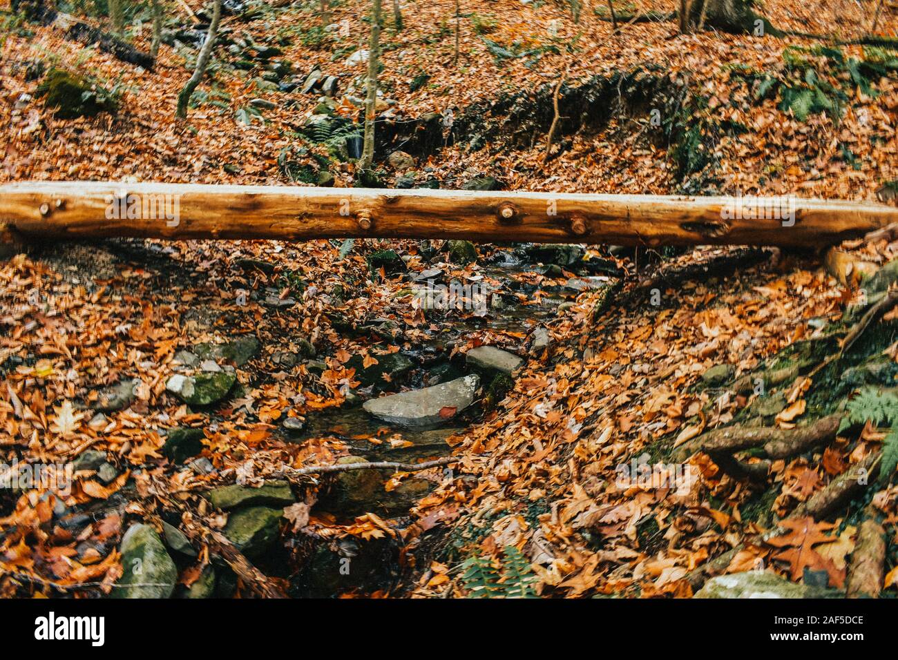 Rough creek crossing hi-res stock photography and images - Alamy
