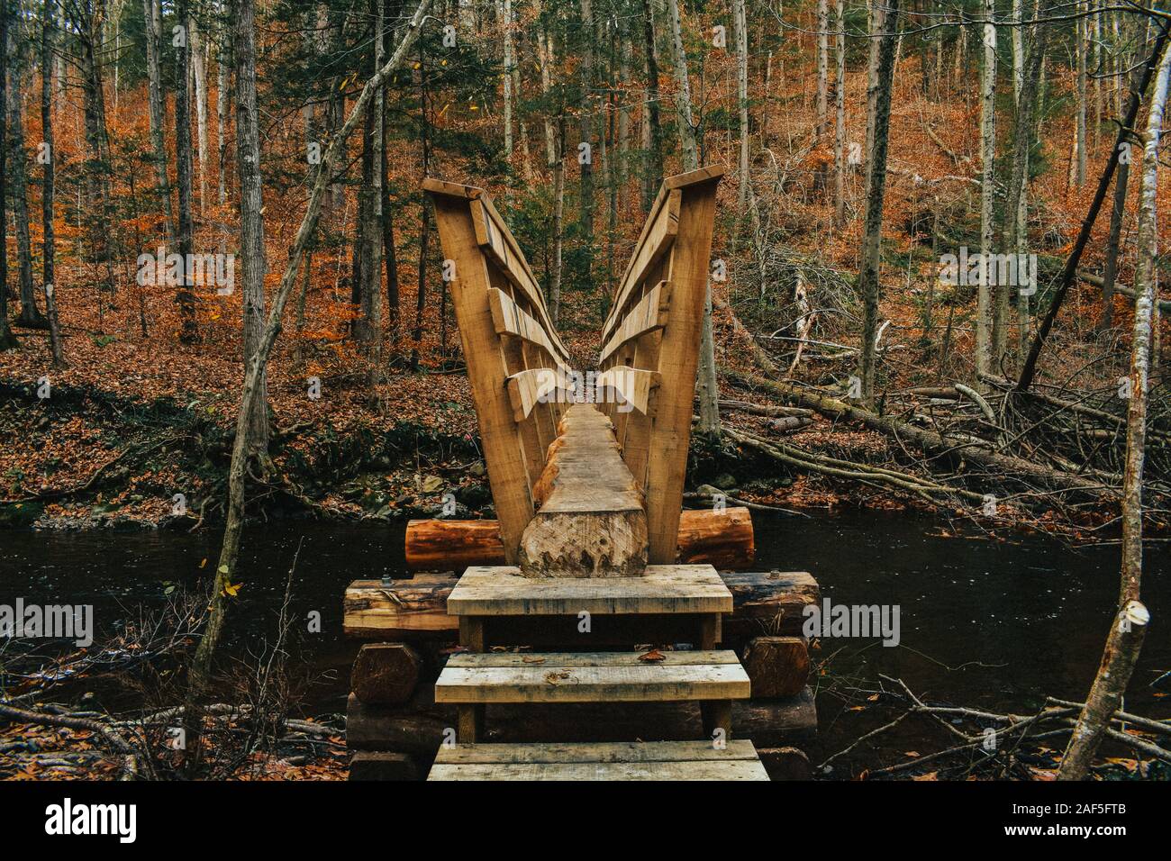 A Centered Shot of A Narrow Log Bridge Stock Photo - Alamy