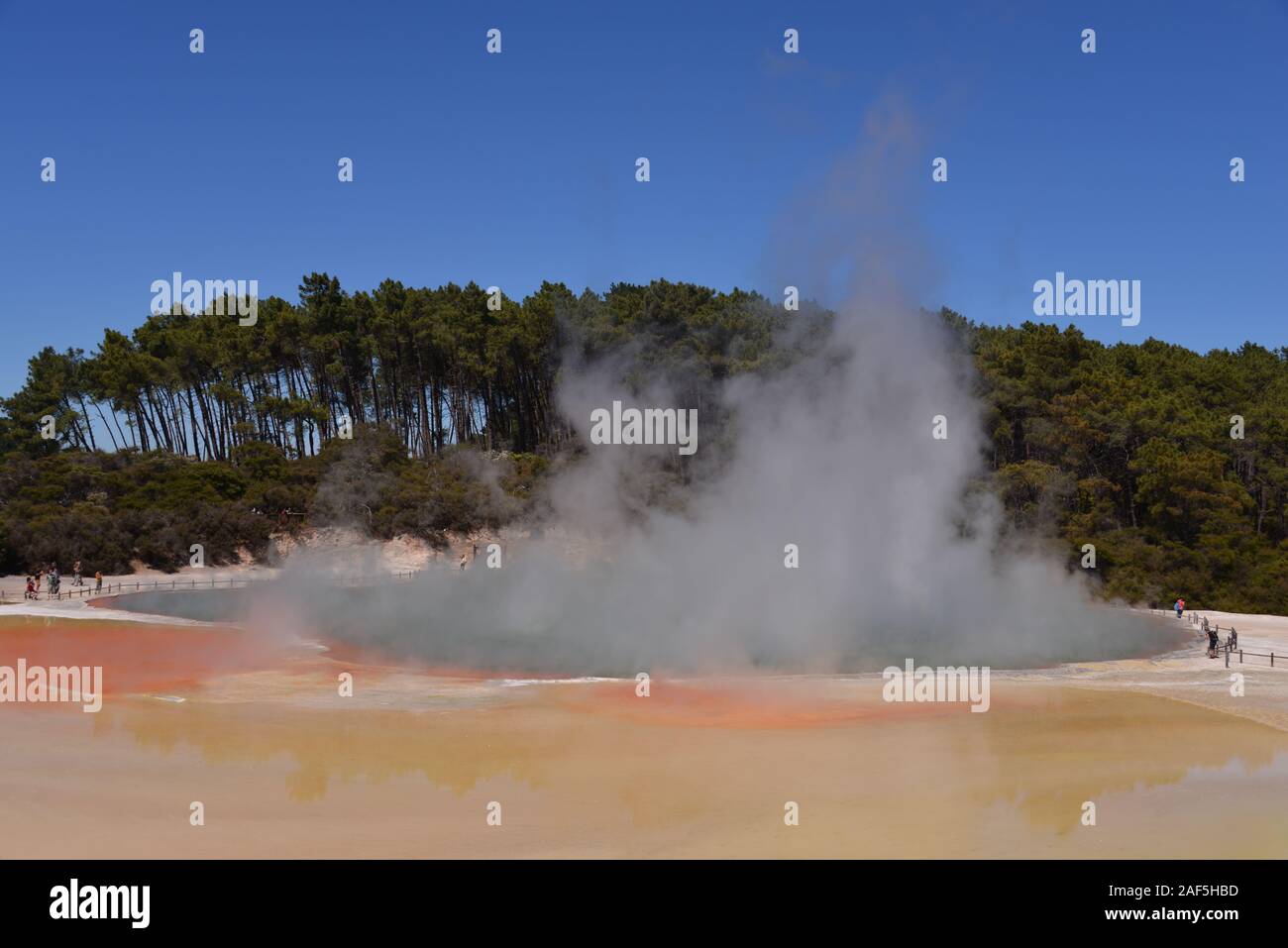 Side shot of the hot spring in Rotorua Stock Photo - Alamy