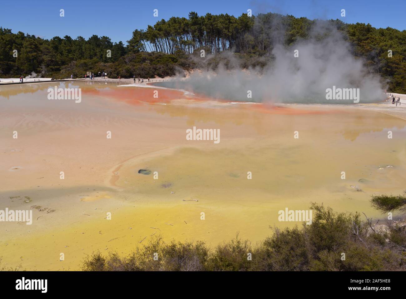 Side shot of the hot spring in Rotorua Stock Photo - Alamy