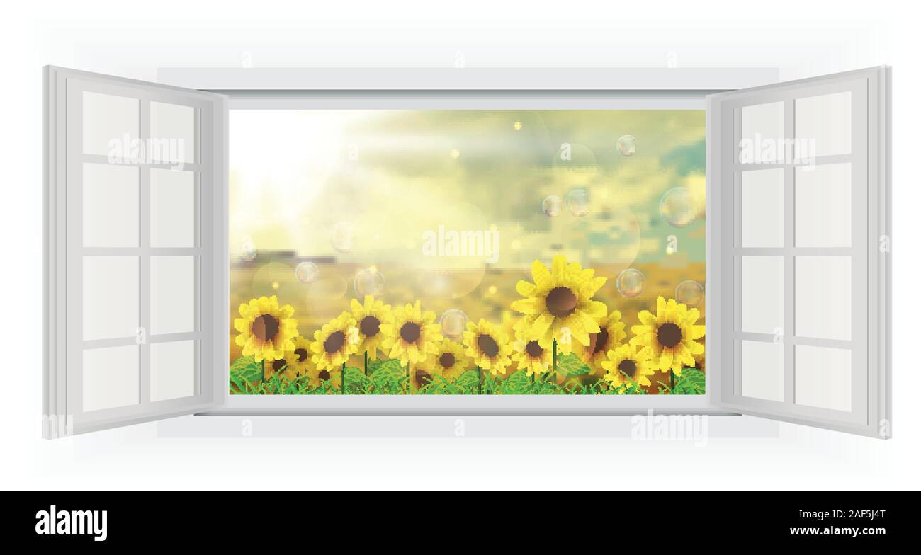 View field beautiful orange Cut Out Stock Images & Pictures - Alamy