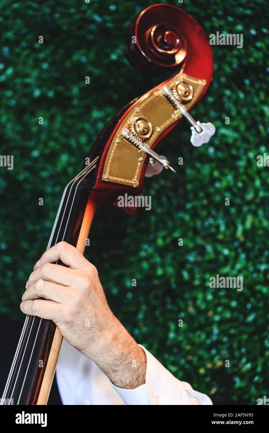 Cellist hand hi-res stock photography and images - Alamy
