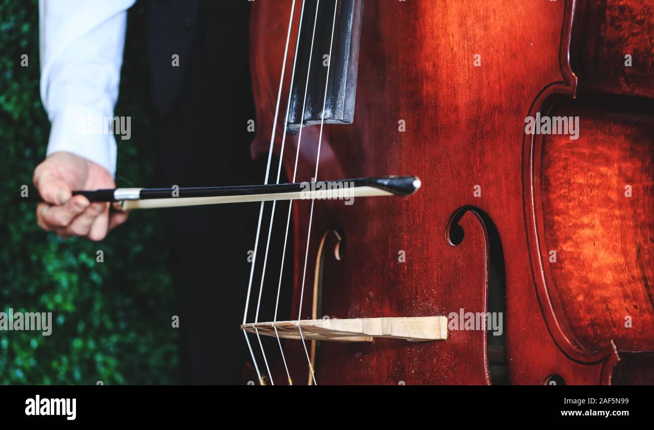 Cello picture hi-res stock photography and images - Alamy