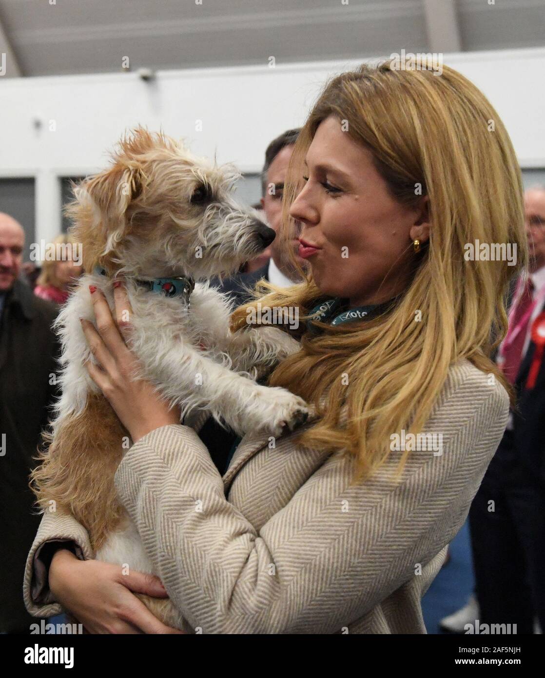 Prime Minister Boris Johnson's partner Carrie Symonds and dog Dilyn ...