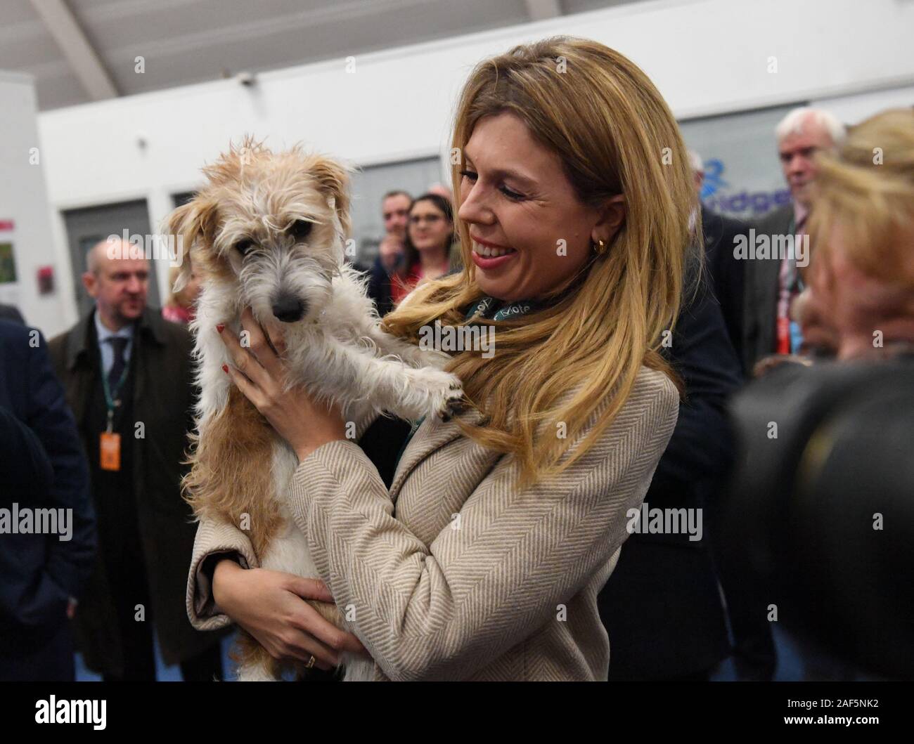 Prime Minister Boris Johnson's partner Carrie Symonds and dog Dilyn ...