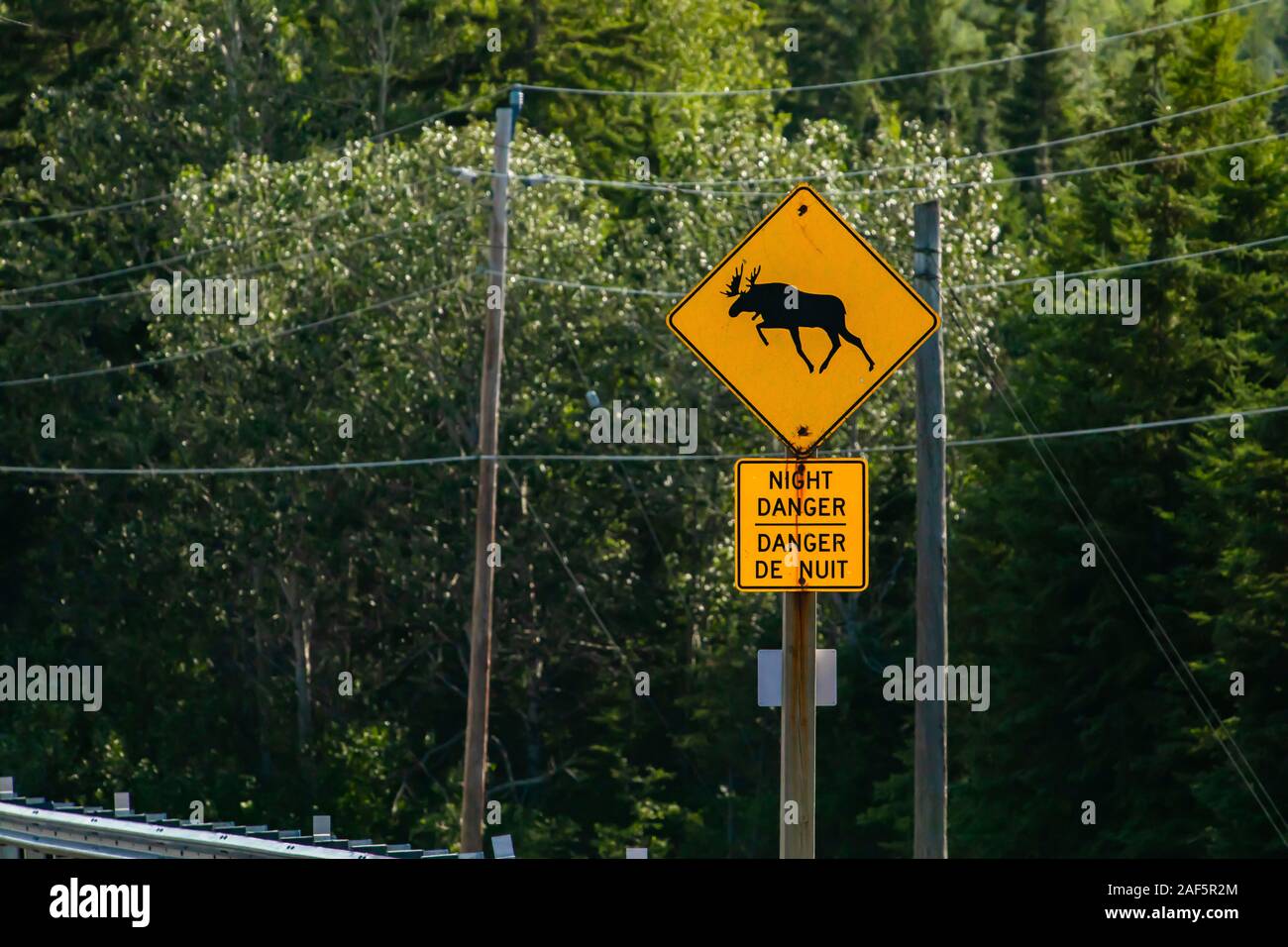 a warning for moose crossing the road, night danger bilingual signs ...