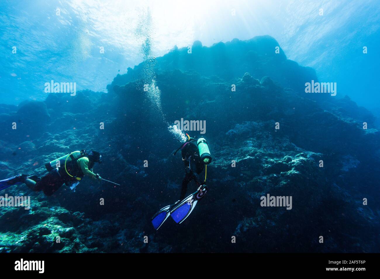 Diving at Coral reef of Yap. Federated States of Micronesia Stock Photo ...