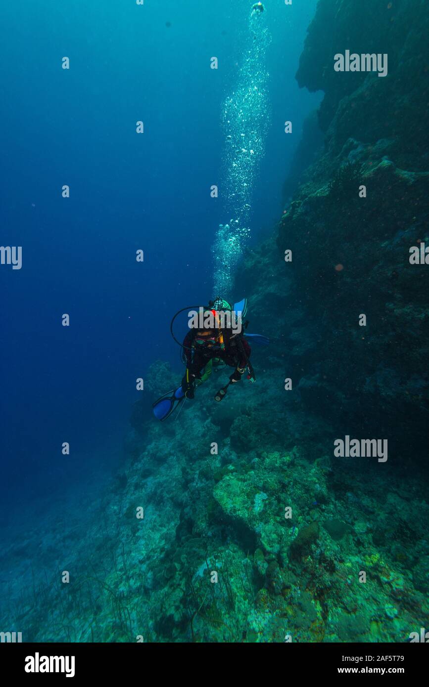 Diving at Coral reef of Yap. Federated States of Micronesia Stock Photo ...