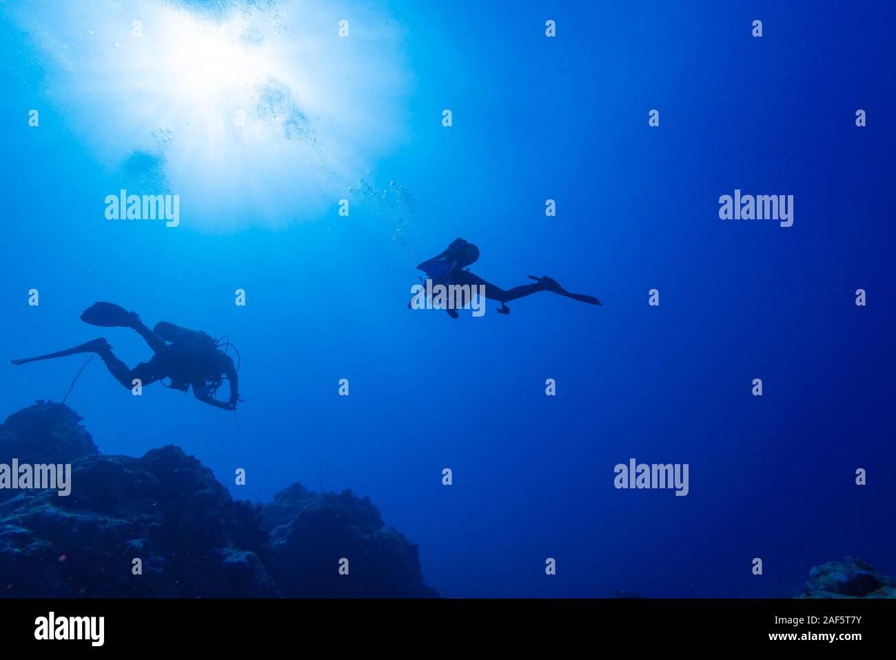 Diving at coral reef of Yap, Micronesia. ( silhouette Stock Photo - Alamy