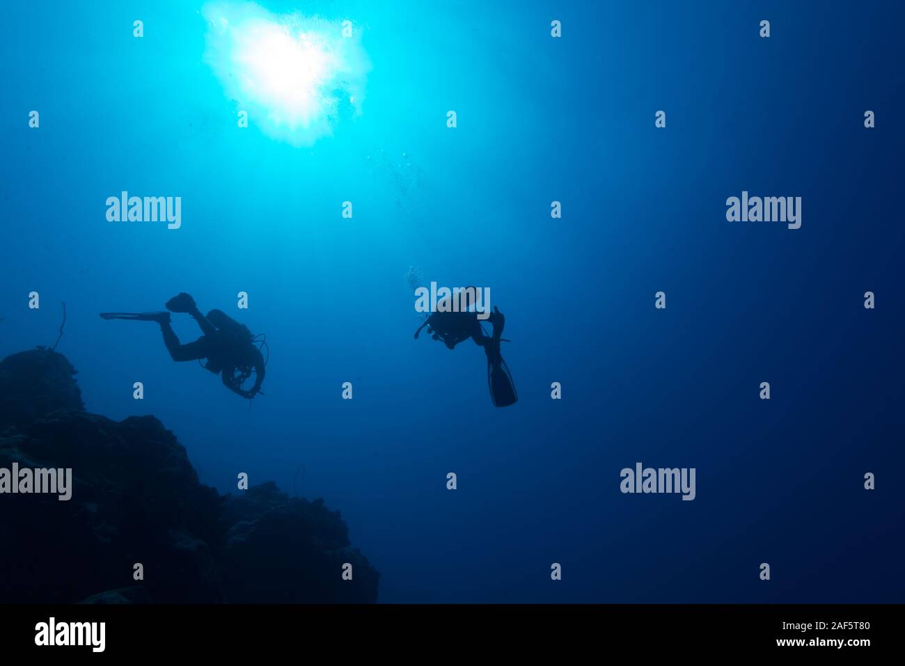 Diving at coral reef of Yap, Micronesia. ( silhouette Stock Photo - Alamy