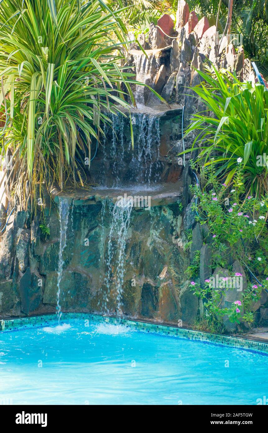 Scenery small waterfall with plants in the pool Stock Photo - Alamy