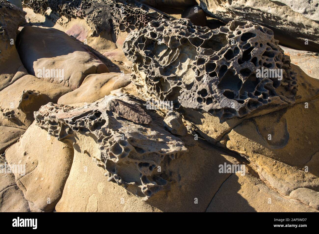 Sandstone cut in odd unique shapes from erosion Stock Photo - Alamy