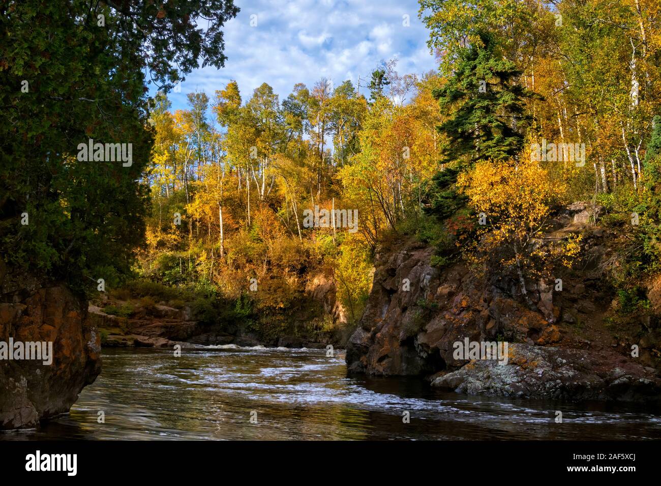 Colorful autumn foliage of Lake Superior National Forest, Minnesota ...