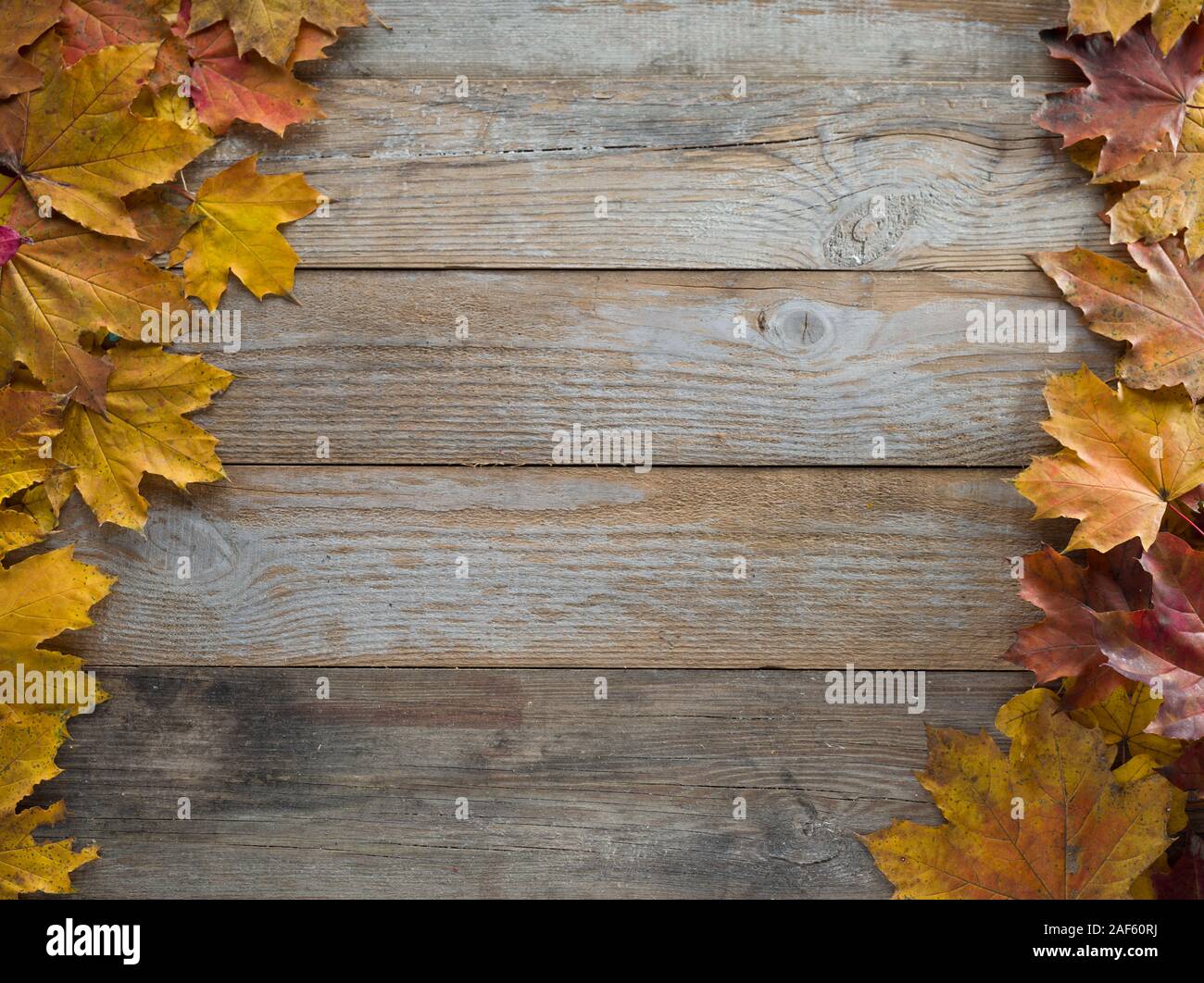 autumn background – frame made of colorful leaves isolated on old ...