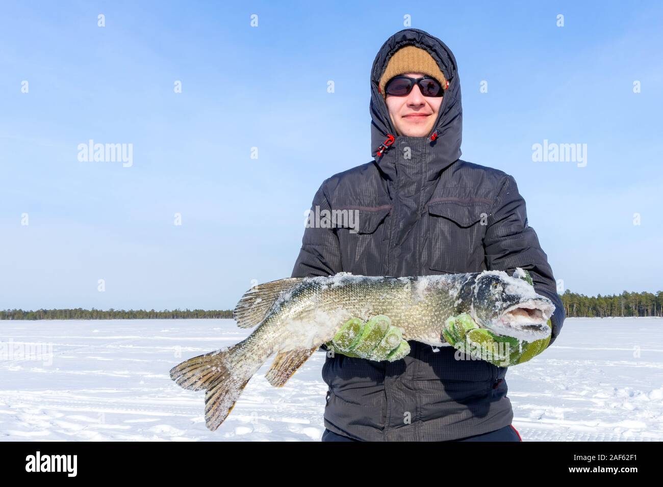young male Millennials fisherman holding big fish Northern pike, and ...