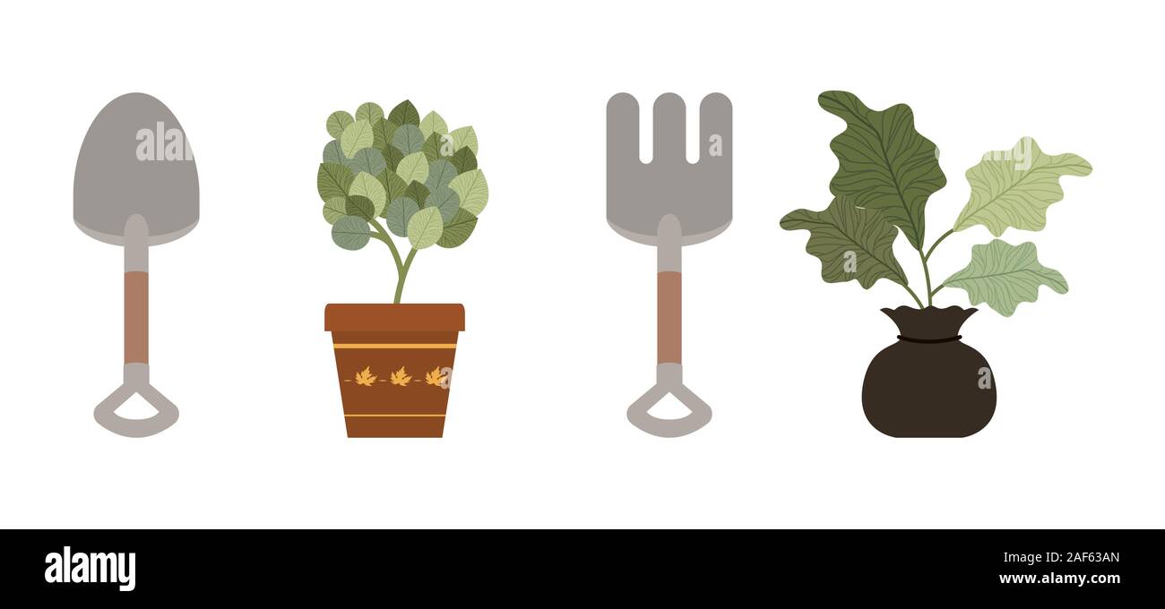 Plants tools and gardening concept vector design Stock Vector Image ...