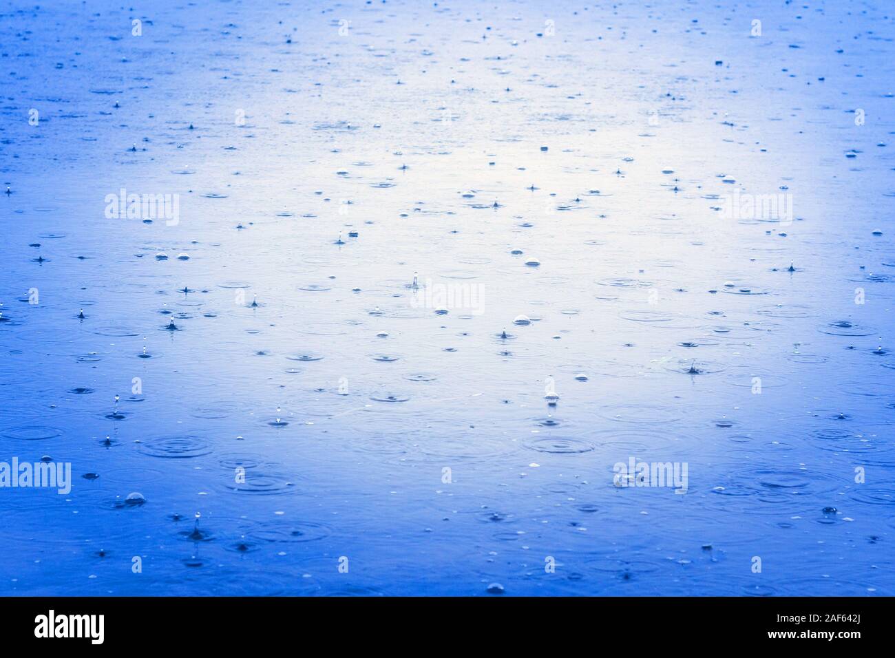 Light rain on the surface of on a river water making circular patterns ...