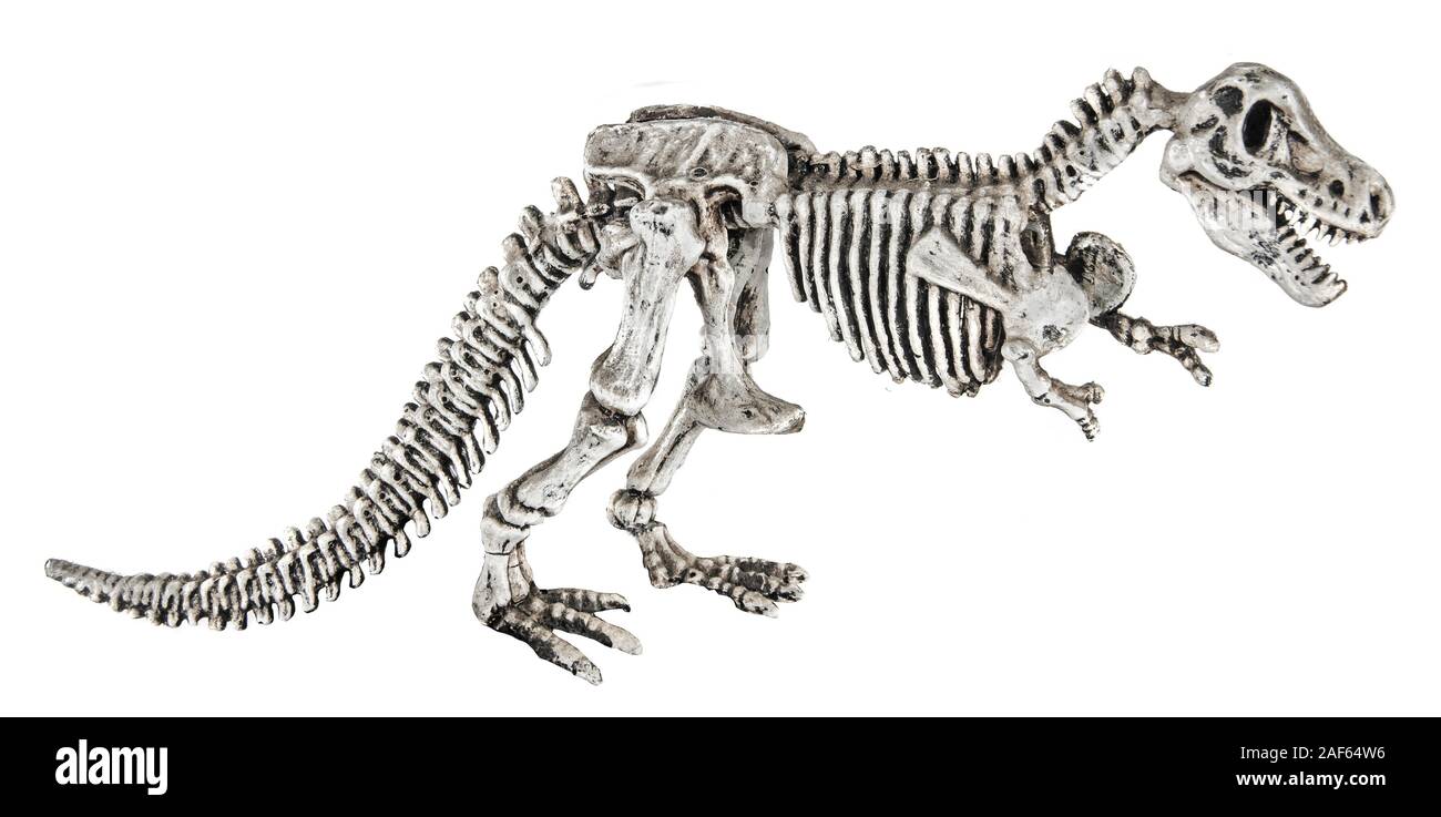 T rex dinosaur skeleton Cut Out Stock Images & Pictures - Alamy