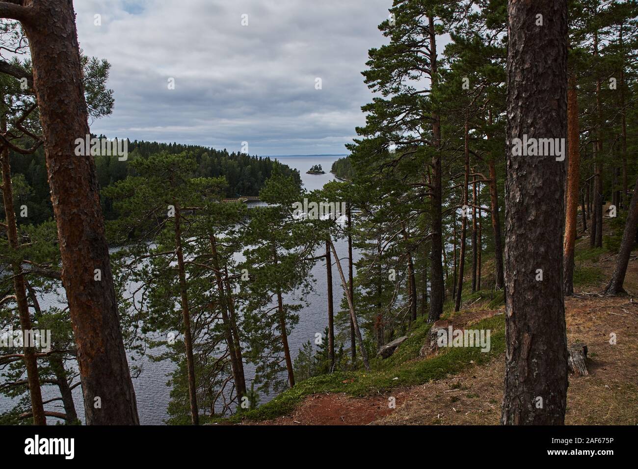 The nature of Karelia.Typical Karelian landscape on the island of ...
