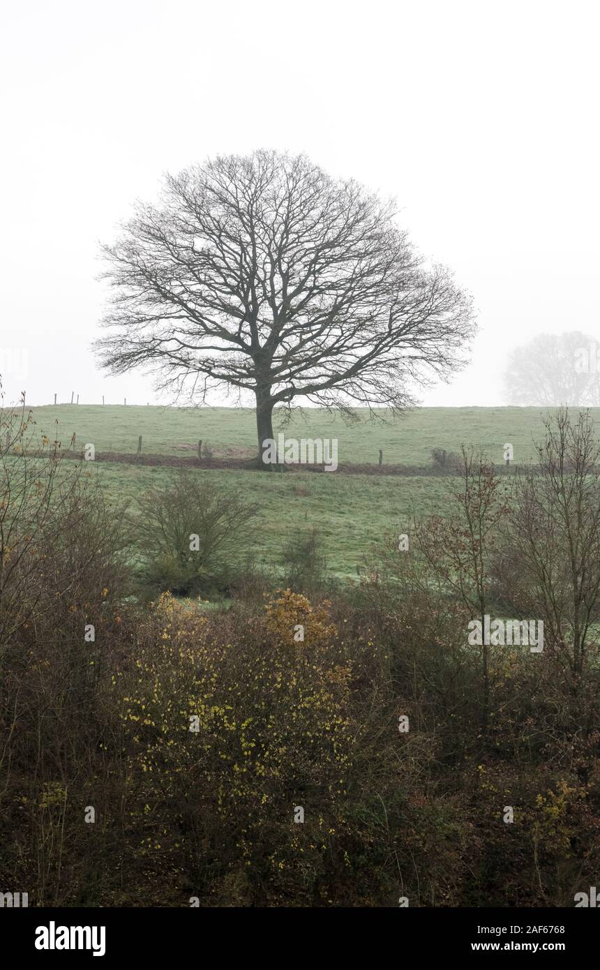 Landscape in the countryside during autumn in Germany, Western Europe ...