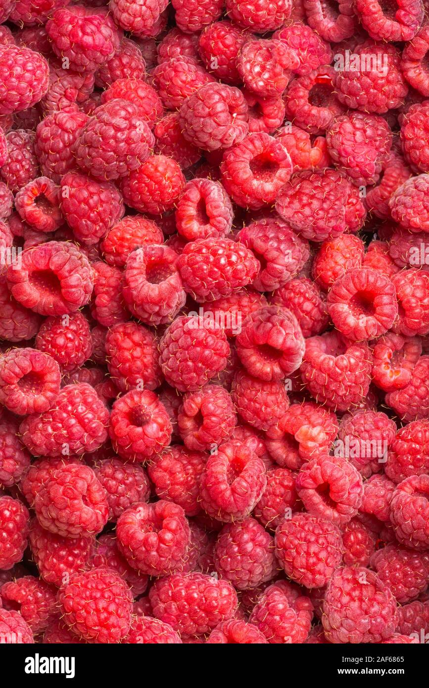 Fresh tasty bright red raspberry fruits background Stock Photo - Alamy