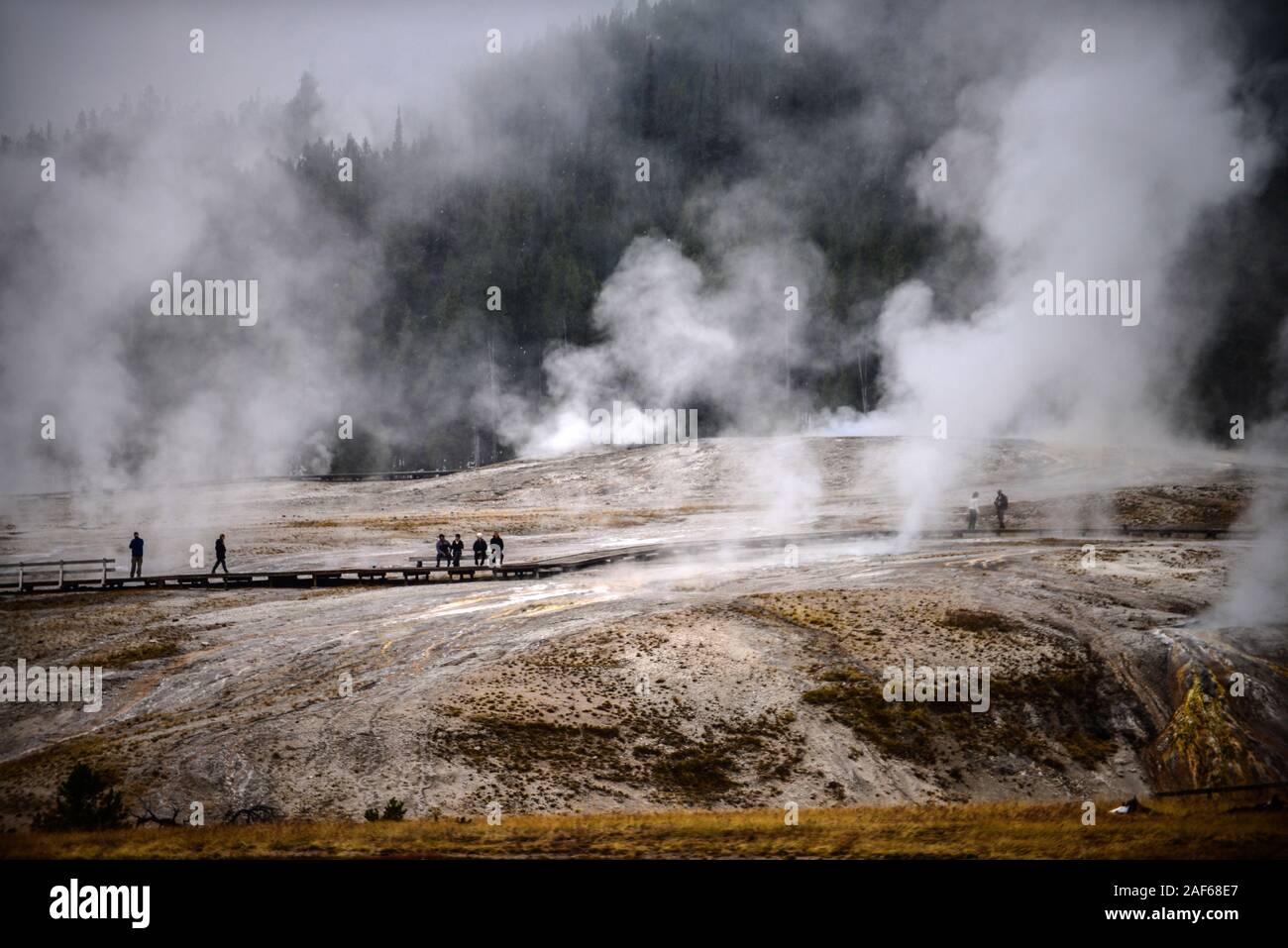 Visitors among fumaroles in Upper Geyser Basin, Yellowstone National ...