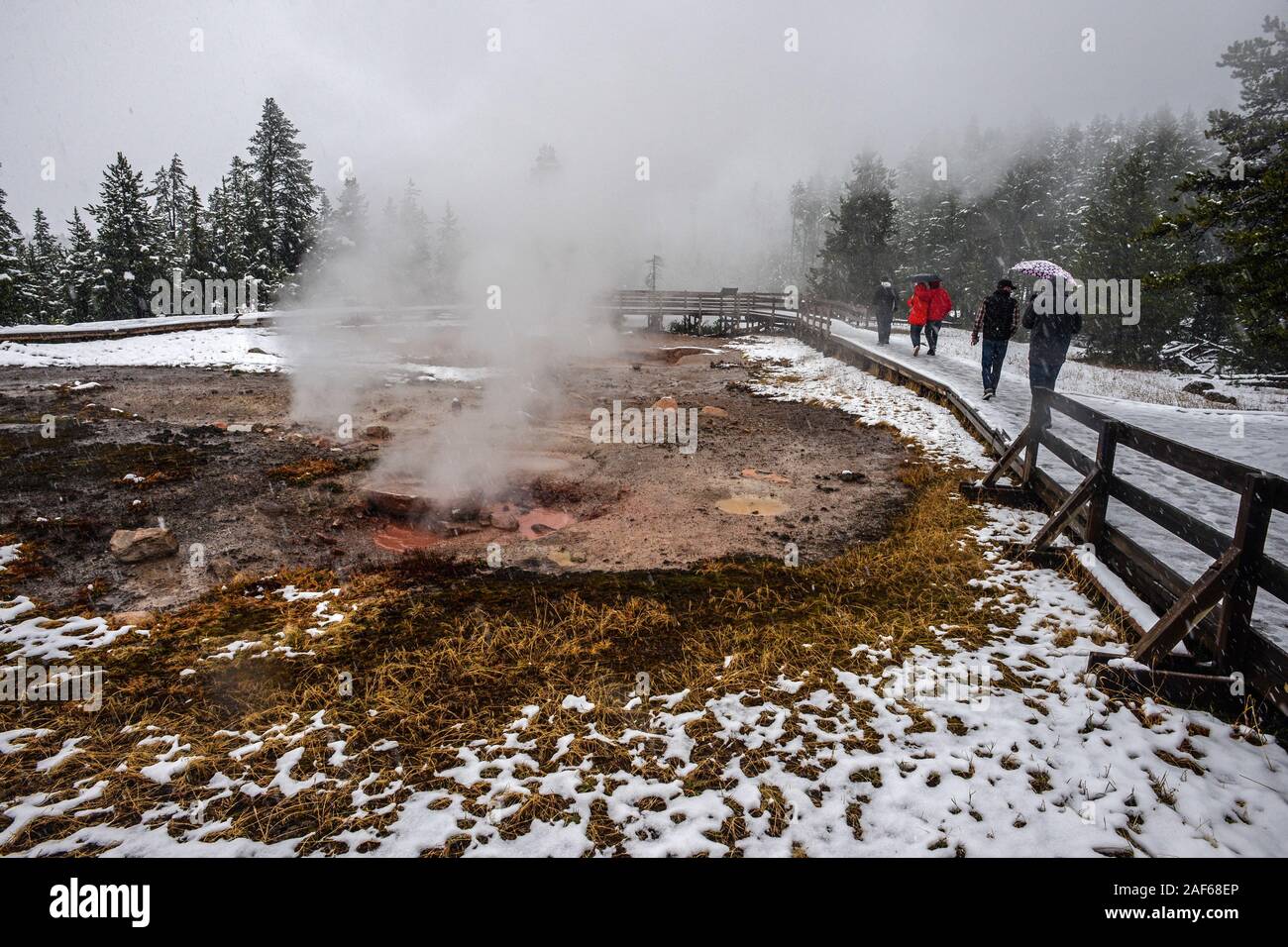 Red Spouter thermal vent in Yellowstone National Park, USA Stock Photo ...