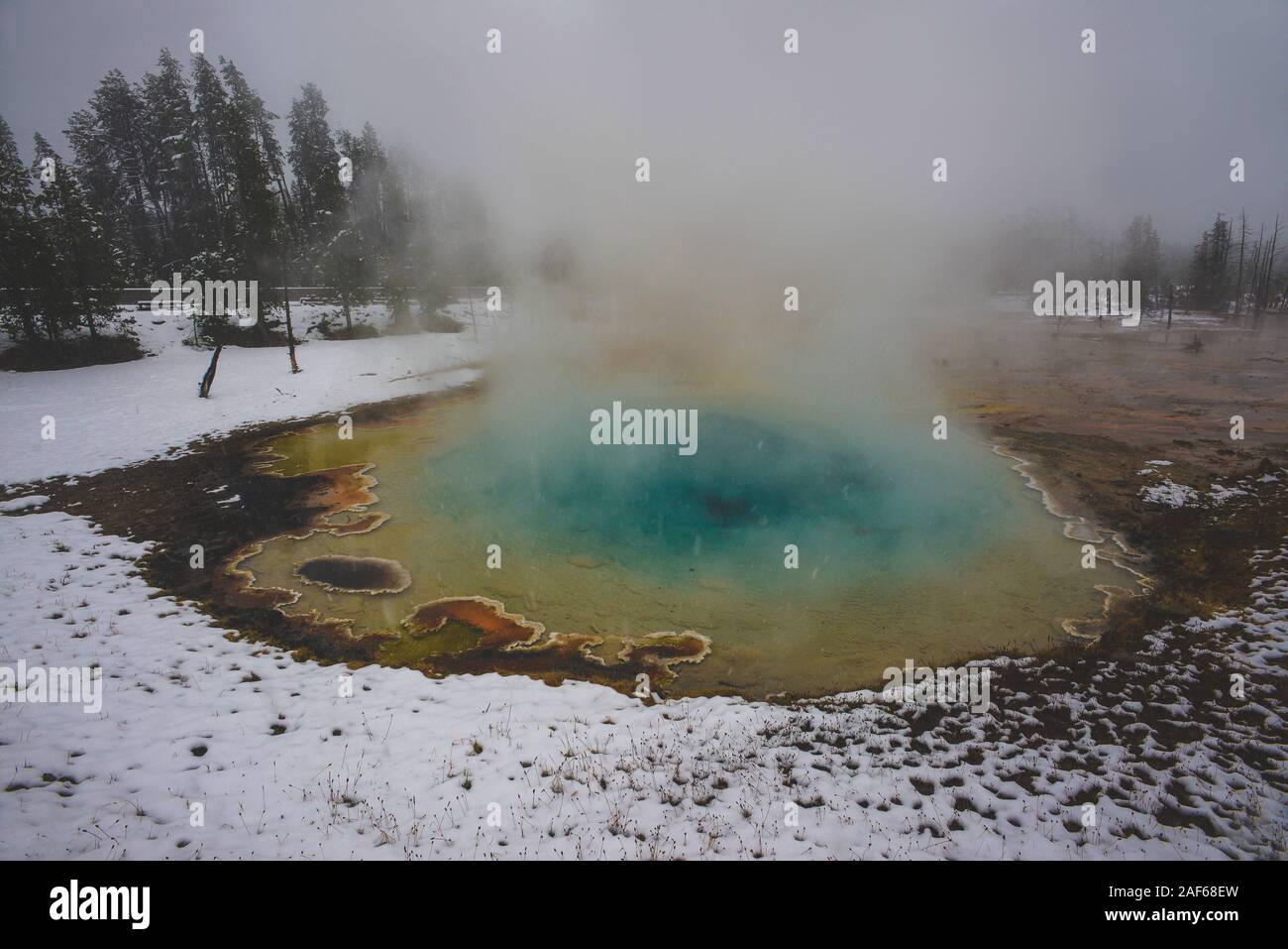 Fountain Paint Pot, a mud pot located in Lower Geyser Basin ...