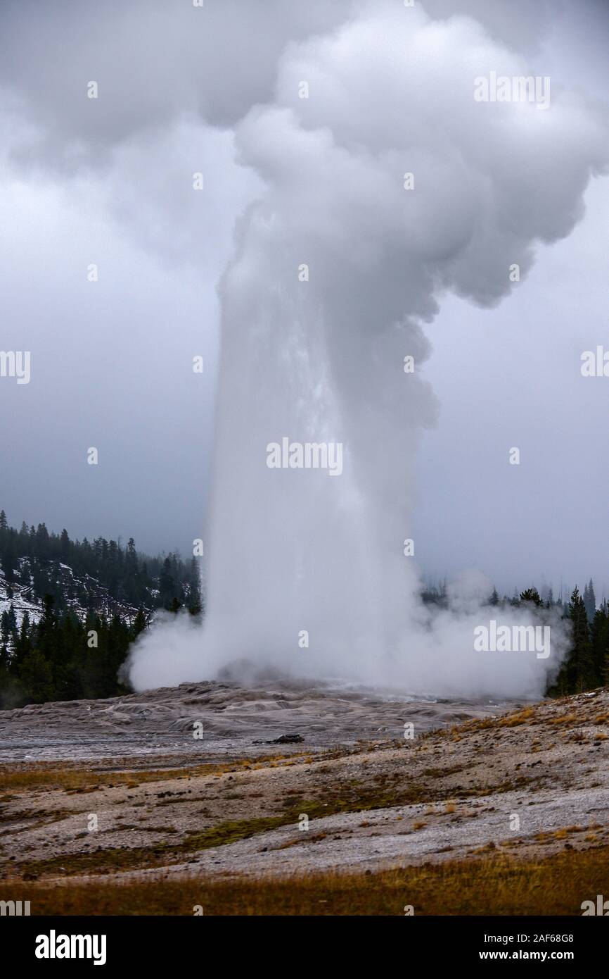 Old faithful geyser upper geyser basin hi-res stock photography and ...