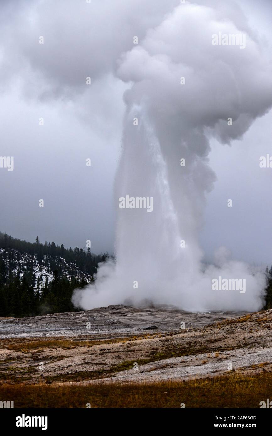 Old Faithful geyser in Upper Geyser Basin, Yellowstone National Park ...