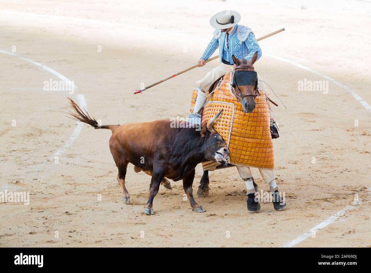 Bull fighting stadium madrid hi-res stock photography and images - Alamy