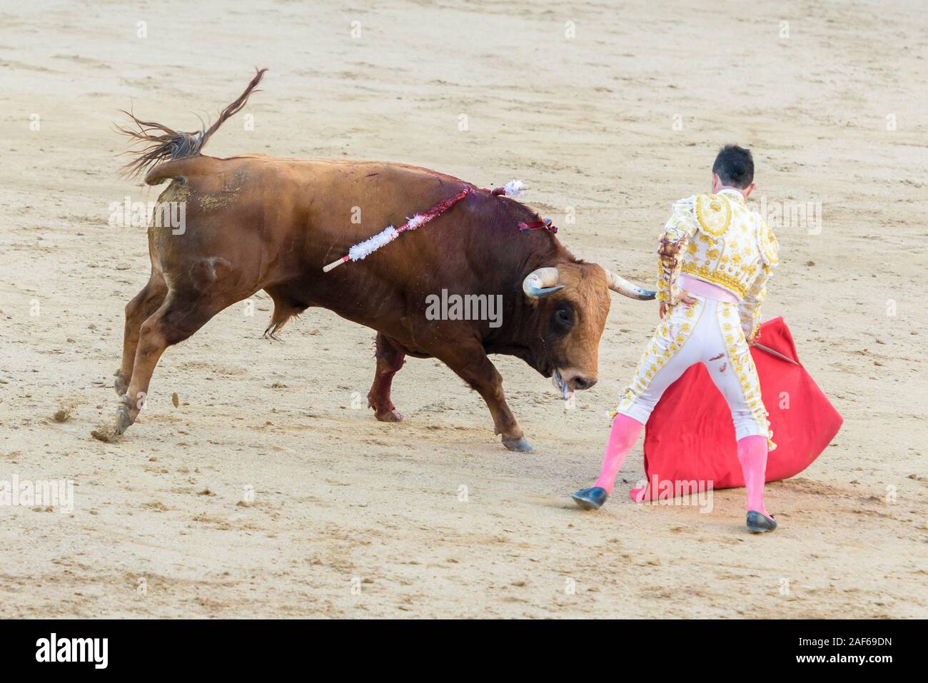 Bull fighting stadium madrid hi-res stock photography and images - Alamy