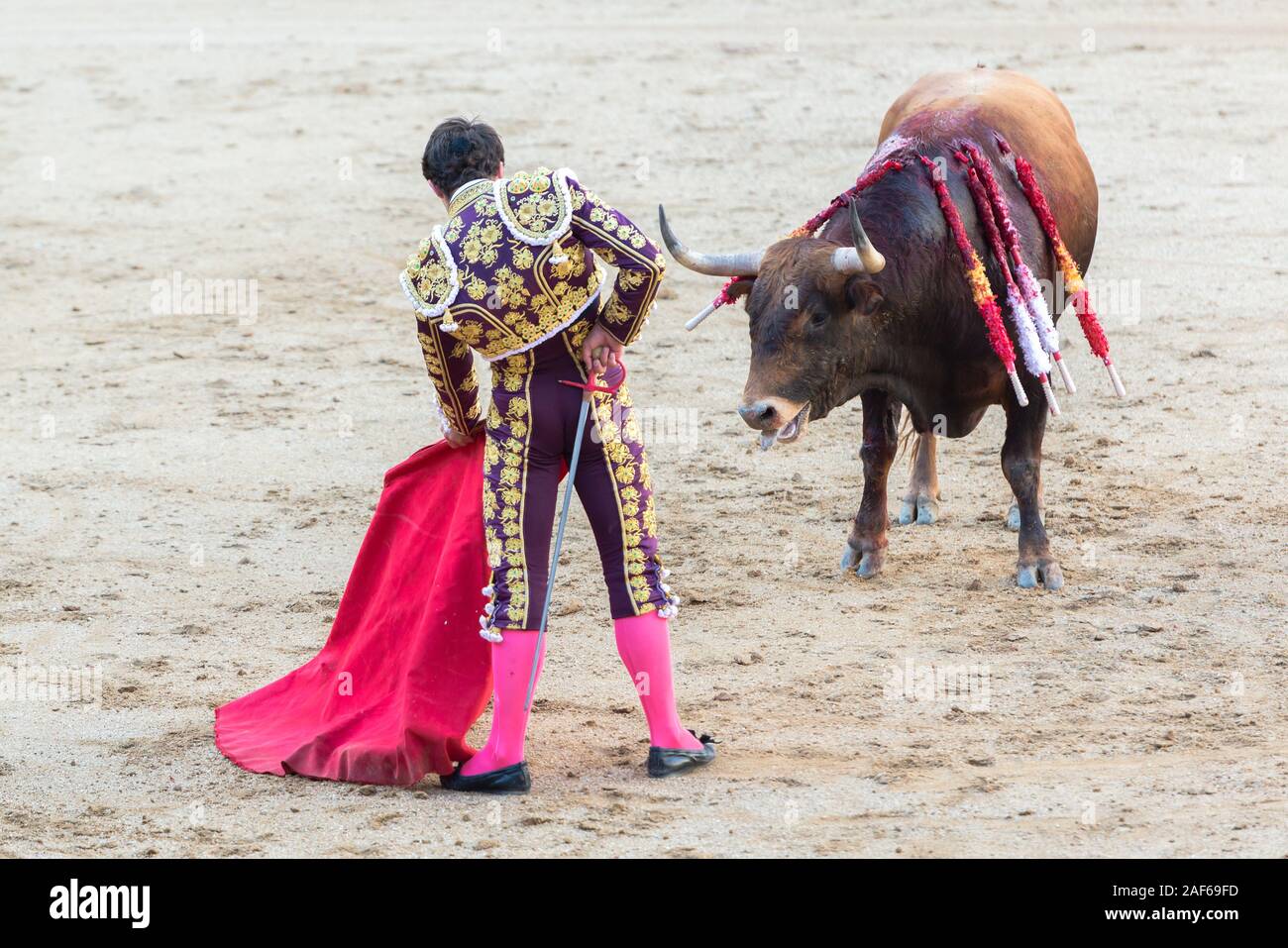 Bull fighting stadium madrid hi-res stock photography and images - Alamy