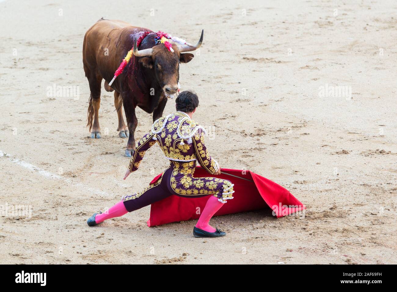 Bull fighting stadium madrid hi-res stock photography and images - Alamy
