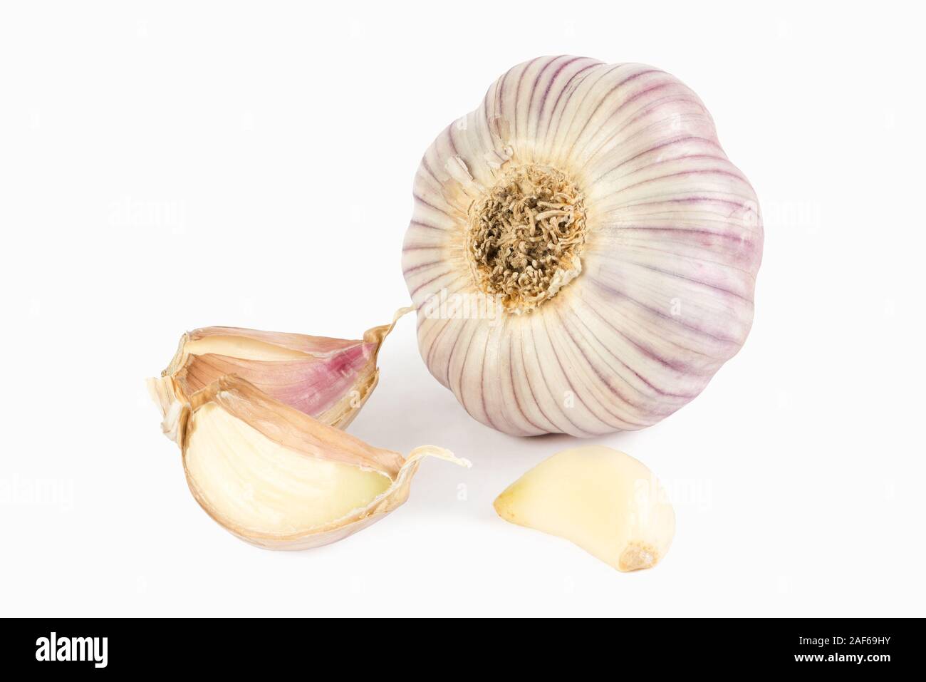 Fresh garlic isolated Stock Photo - Alamy