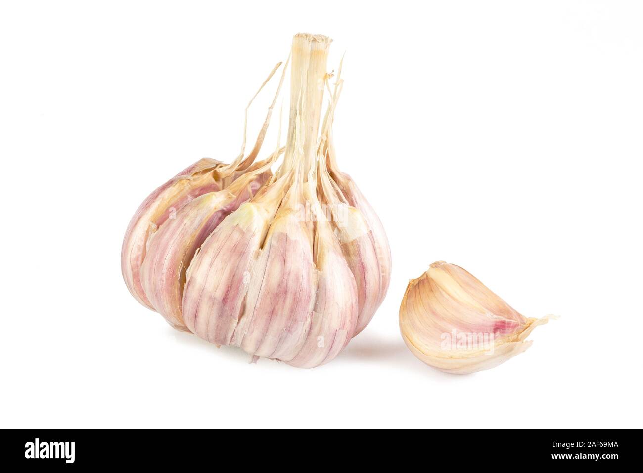 Fresh garlic isolated Stock Photo - Alamy