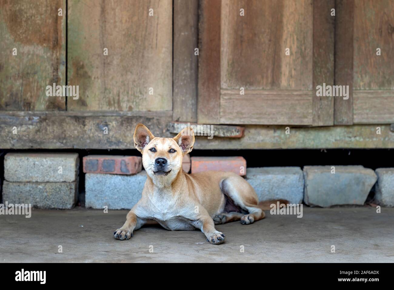 Watch out for strangers hi-res stock photography and images - Alamy