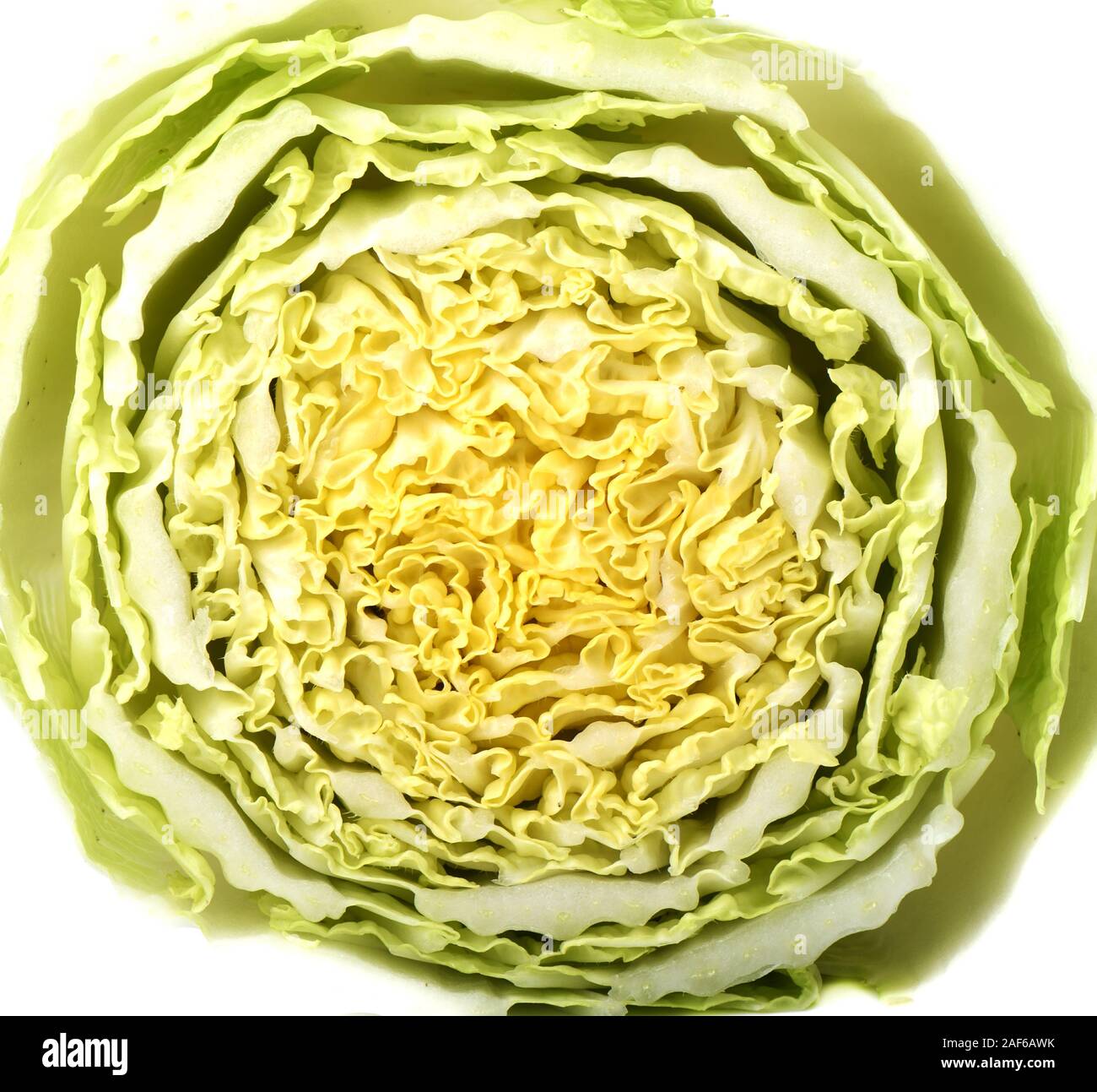 Macro shot of a slice of lettuce. Chinese cabbage close-up on a white ...