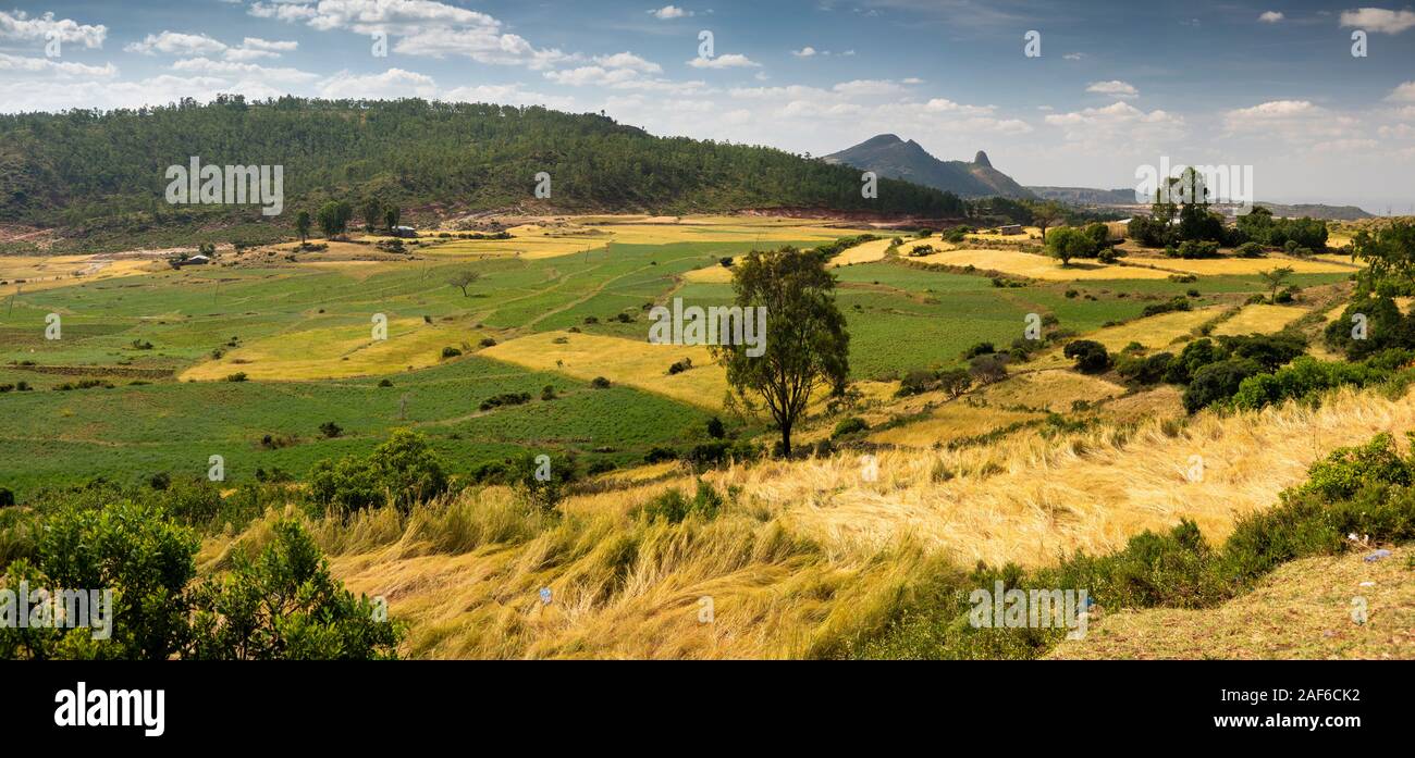Ethiopia, Tigray, Axum (Aksum), Abalanicos, agricultural landscape ...