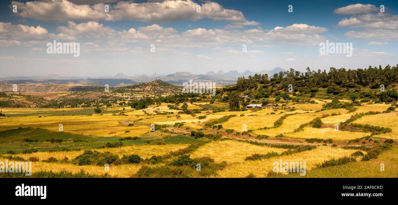 Ethiopia, Tigray, Axum (Aksum), Abalanicos, agricultural landscape ...