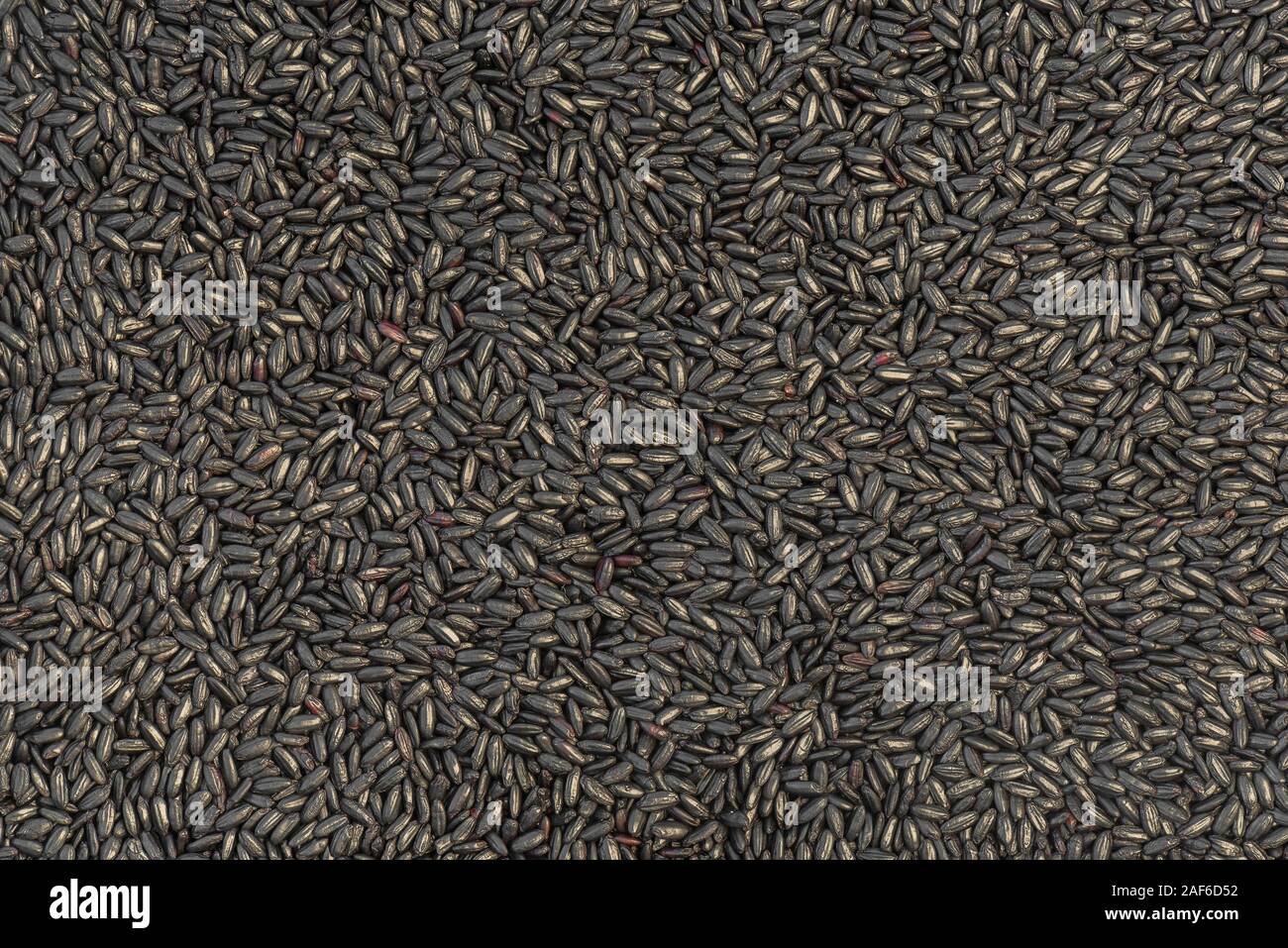 Purple rice hi-res stock photography and images - Alamy